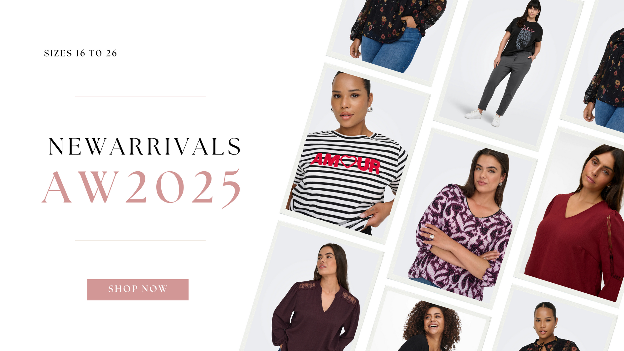 Lily Rose Boutique – Lily Rose Boutique